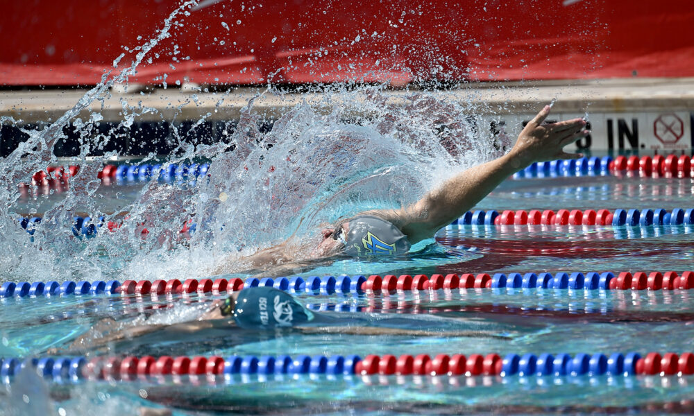 Lehi Swim Team Shows Well At State Meet Lehi Free Press